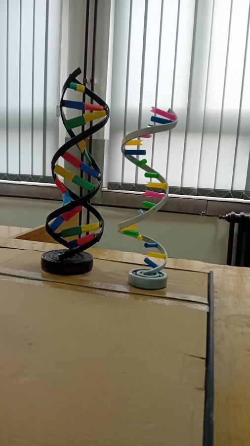 Obiljećen 25.april - Dan molekule DNA - GDMK